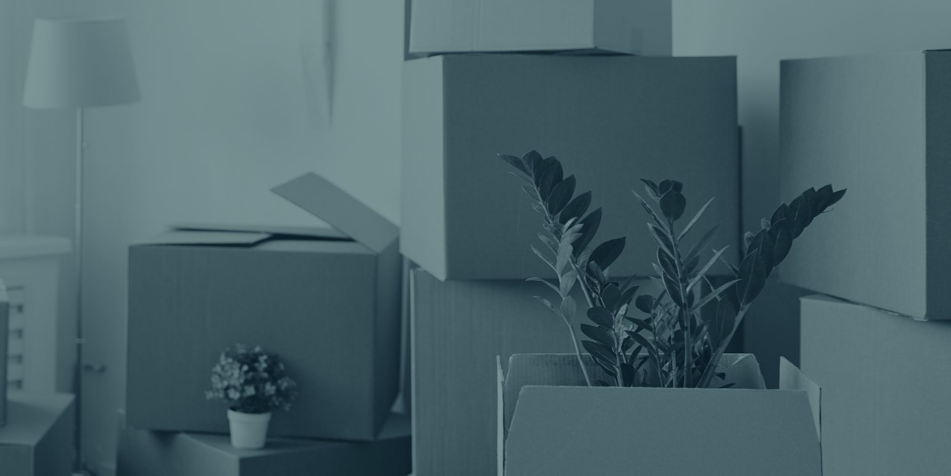 Location de camion avec chauffeur pour déménagement